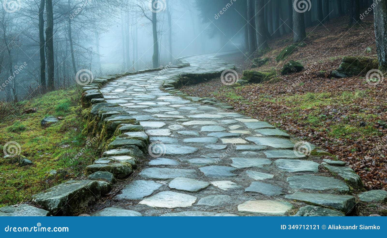 Medieval Stone Path Winding through a Dense Misty Forest Stock ...