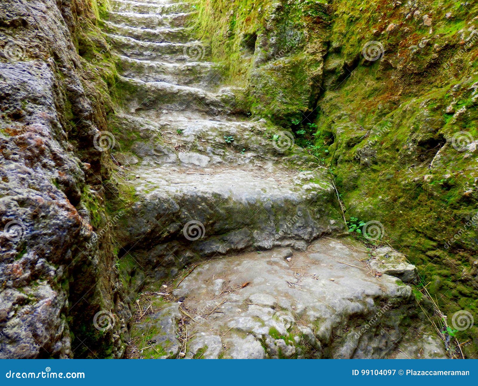 Medieval Stone Steps stock image. Image of entrance, moss - 99104097