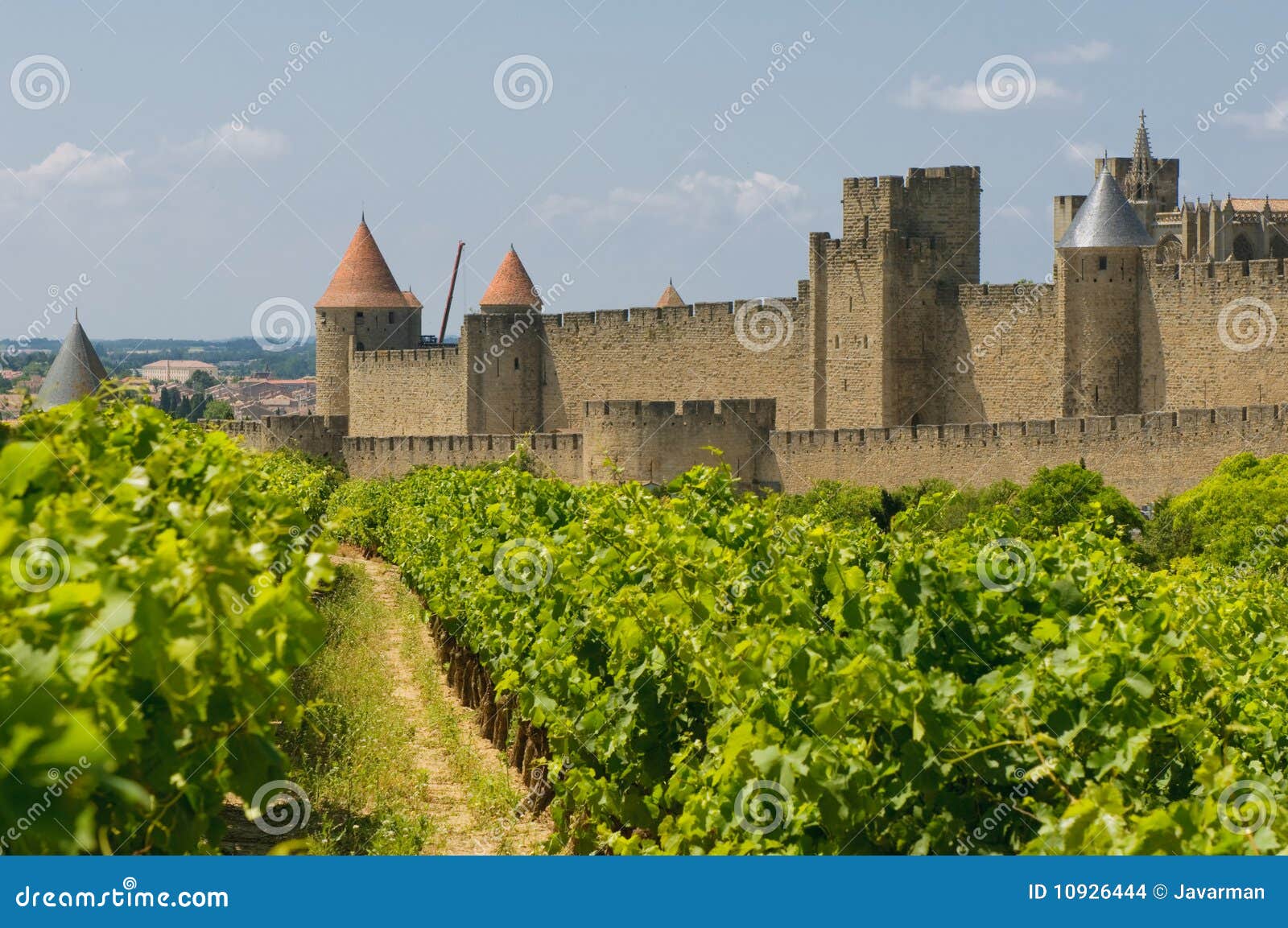 Medieval Town of Carcassonne and Vineyards Stock Photo - Image of fairy ...
