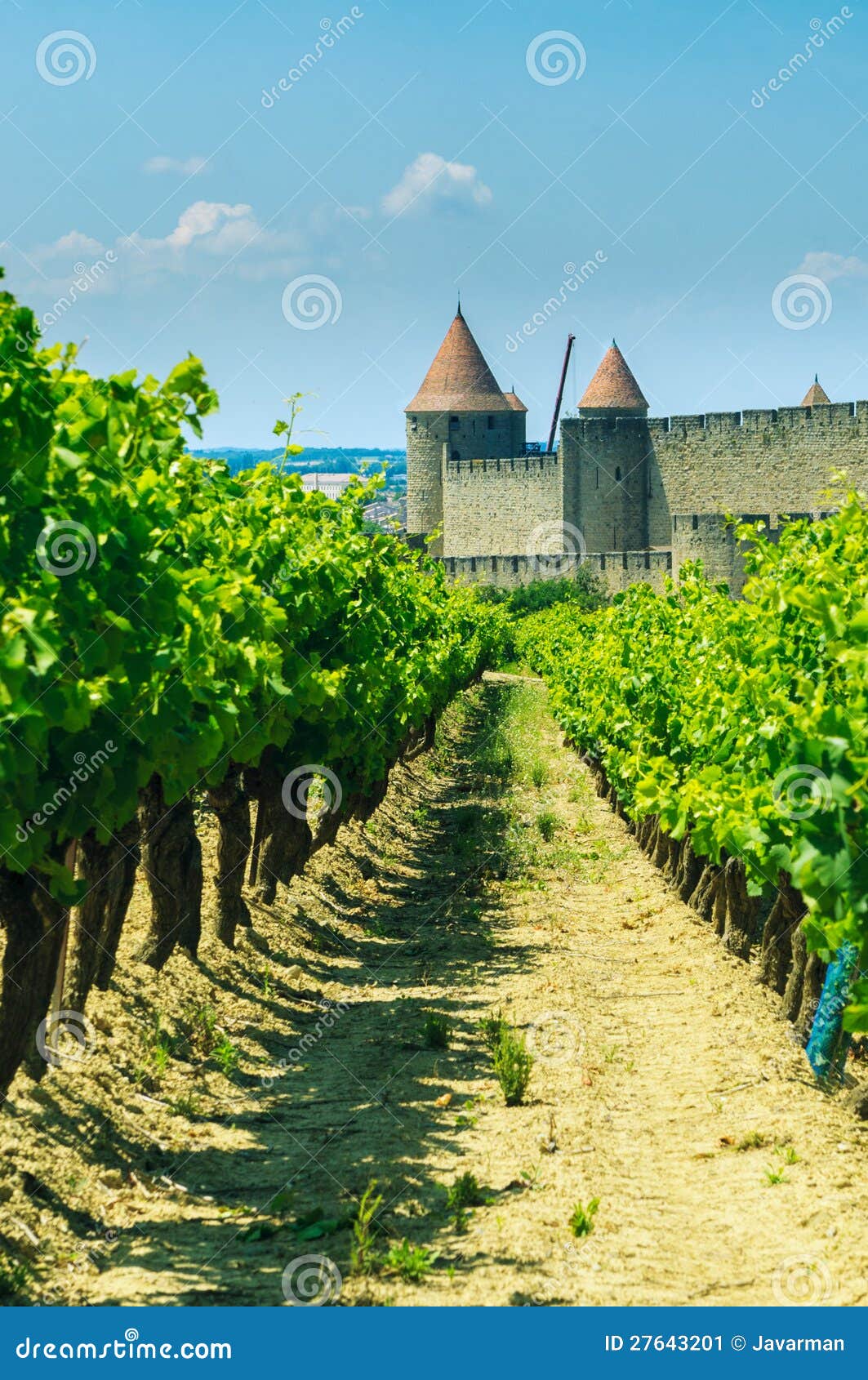 Medieval Town of Carcassonne and Vineyards Stock Image - Image of ...
