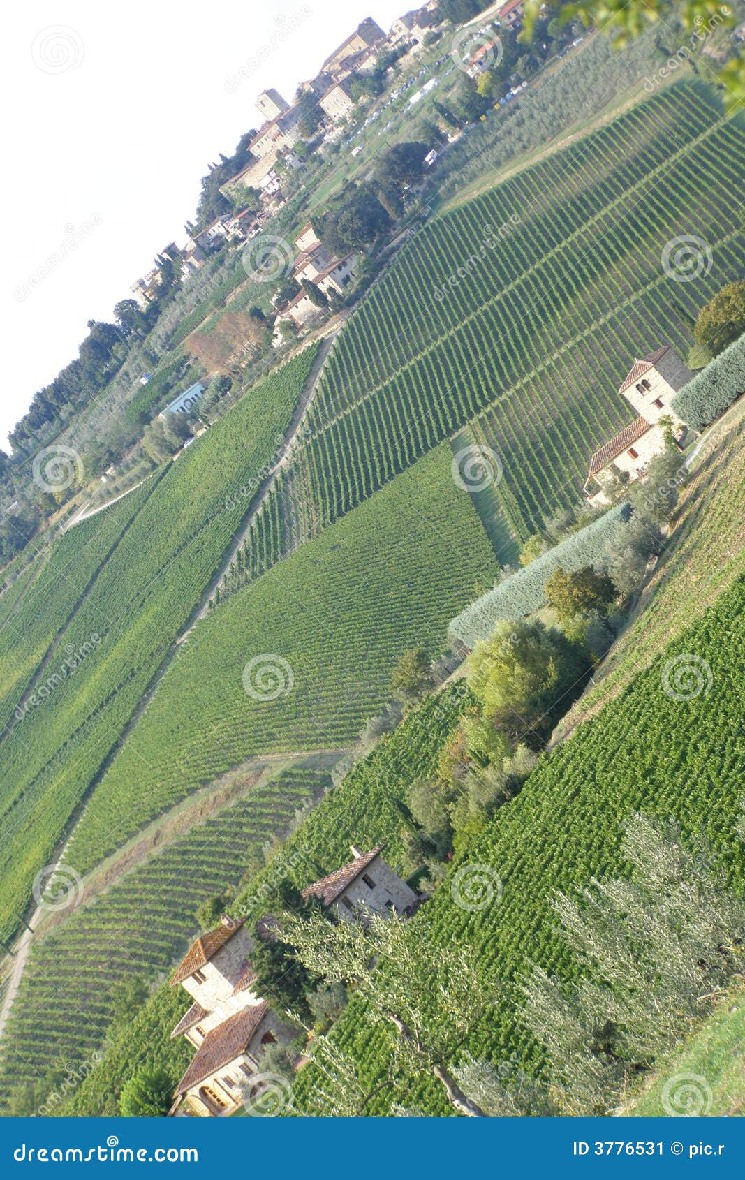 Medieval Town and Vineyards Stock Image - Image of landscape, cyprusses ...