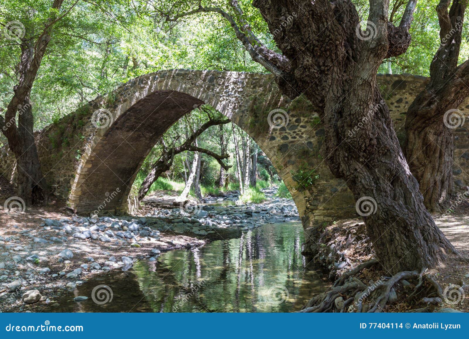 Medieval Venetian Bridge in Cyprus Stock Photo - Image of roots ...