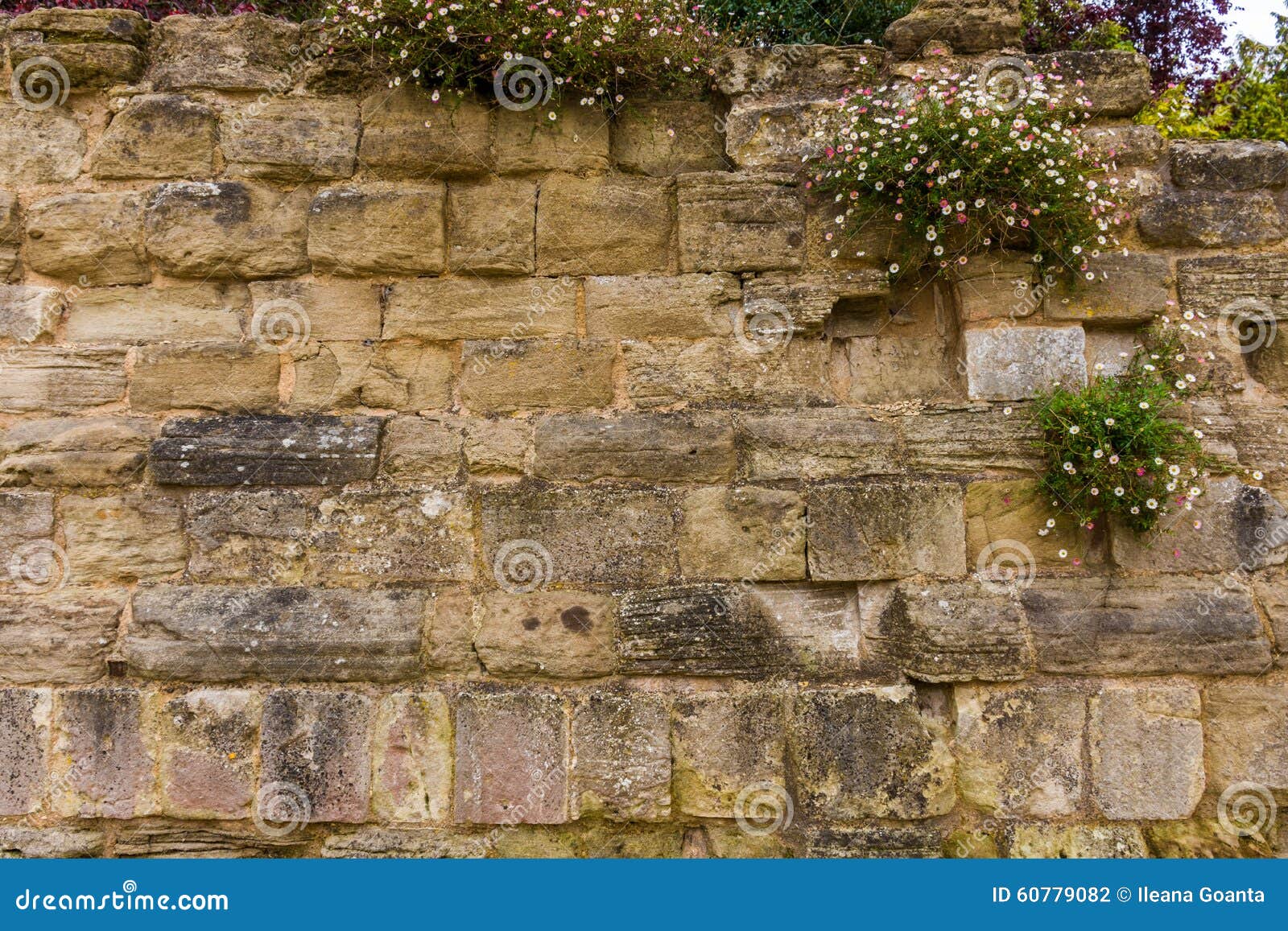 Medieval wall stock photo. Image of english, decor, charm - 60779082