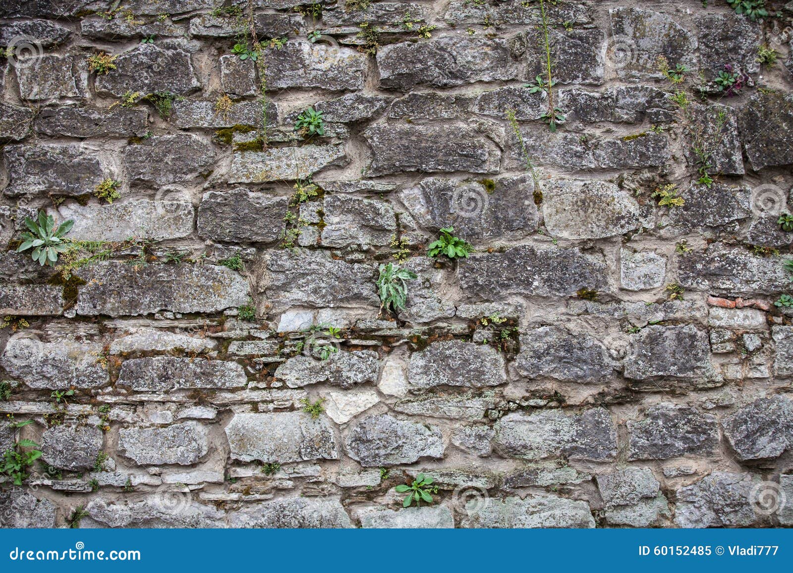 Medieval Wall Made from Stones Stock Image - Image of dirt, crack: 60152485