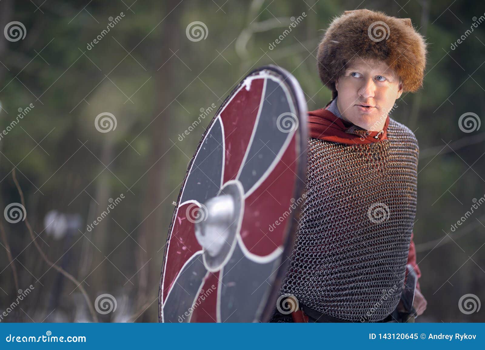Medieval Warrior with Shield Stock Image - Image of brave, bravery ...