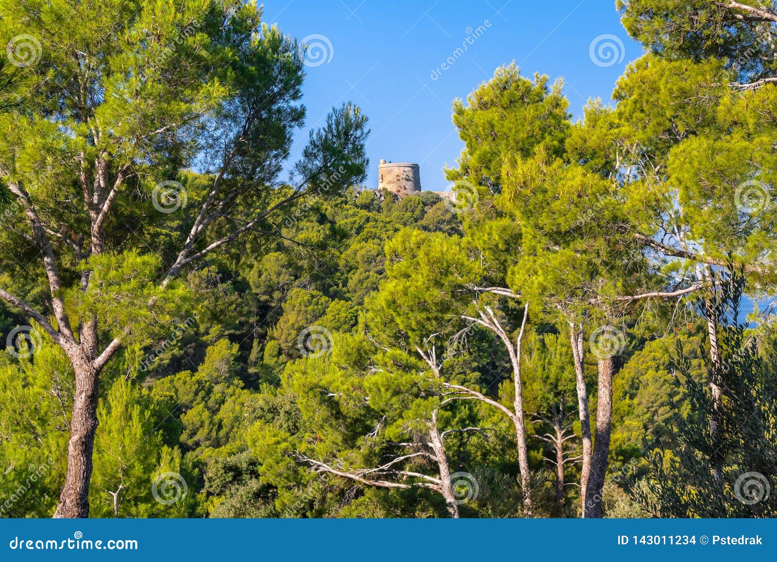 Medieval Watchtower in Pine Tree Forest on Majorca Island Stock Photo ...
