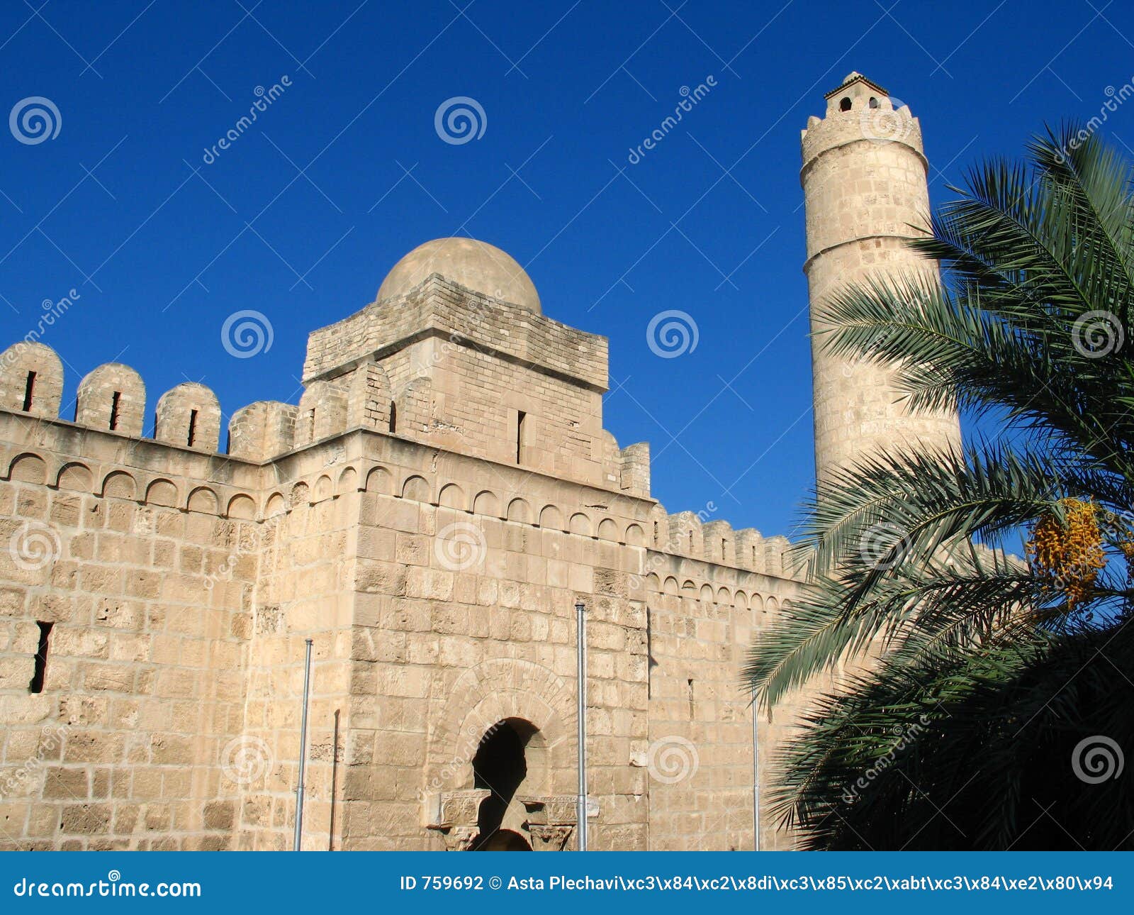 Medina stock photo. Image of palm, huge, islamic, fort - 759692