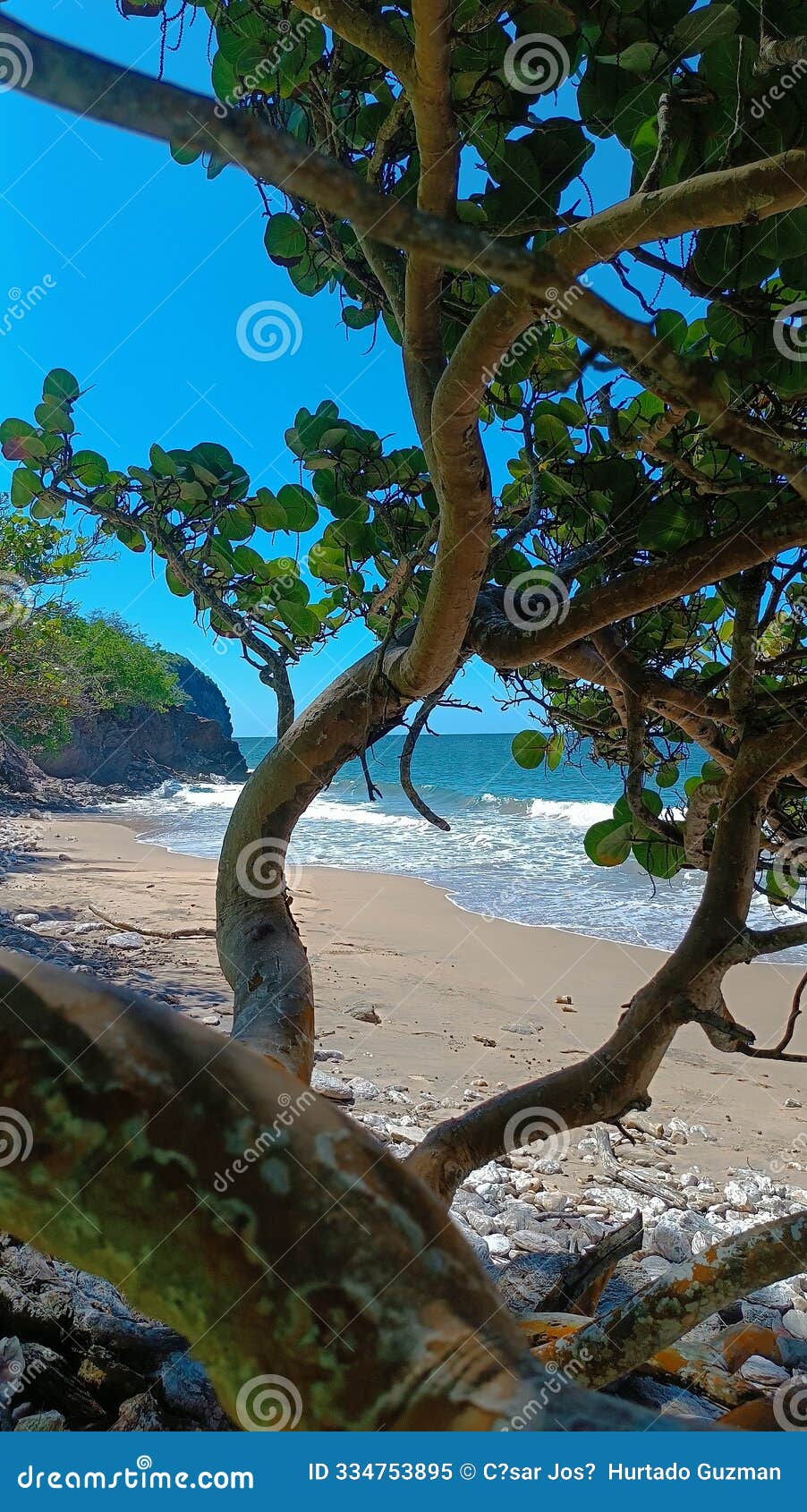 Medina Beach, Sucre State, Venezuela Stock Image - Image of state ...