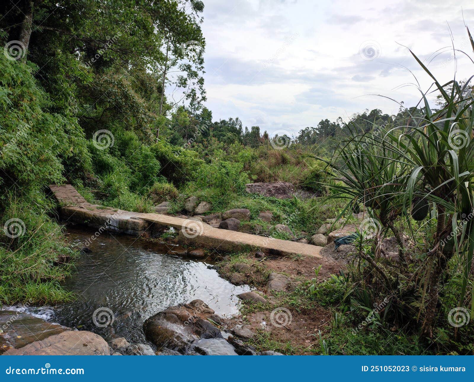 Medio Ambiente Rural Natural De Sri Lanka Imagen de archivo - Imagen de ...