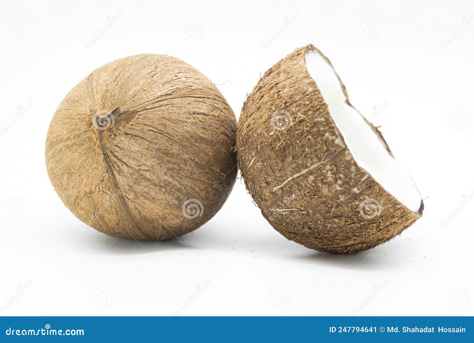 Medio Coco Entero Aislado De Fondo Blanco Imagen de archivo - Imagen de ...