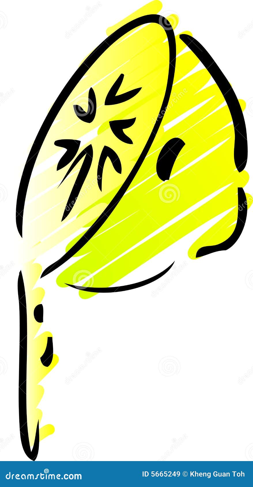 Medio limón ilustración del vector. Ilustración de fruta - 5665249