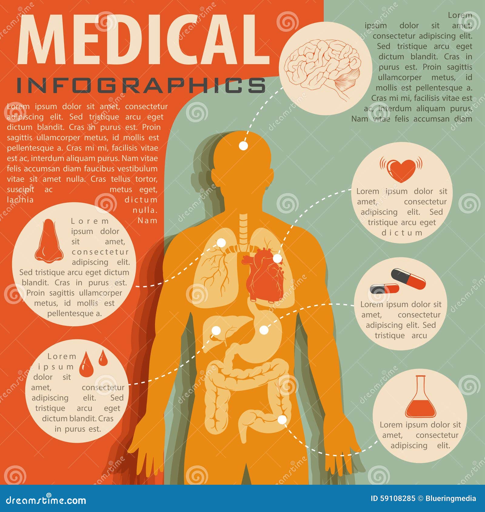 Medische Infographic Met Menselijke Anatomie Vector Illustratie ...