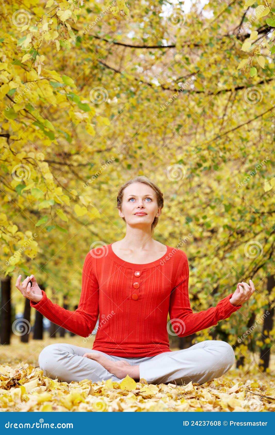 Meditating in autumn stock photo. Image of exercise, autumn - 24237608