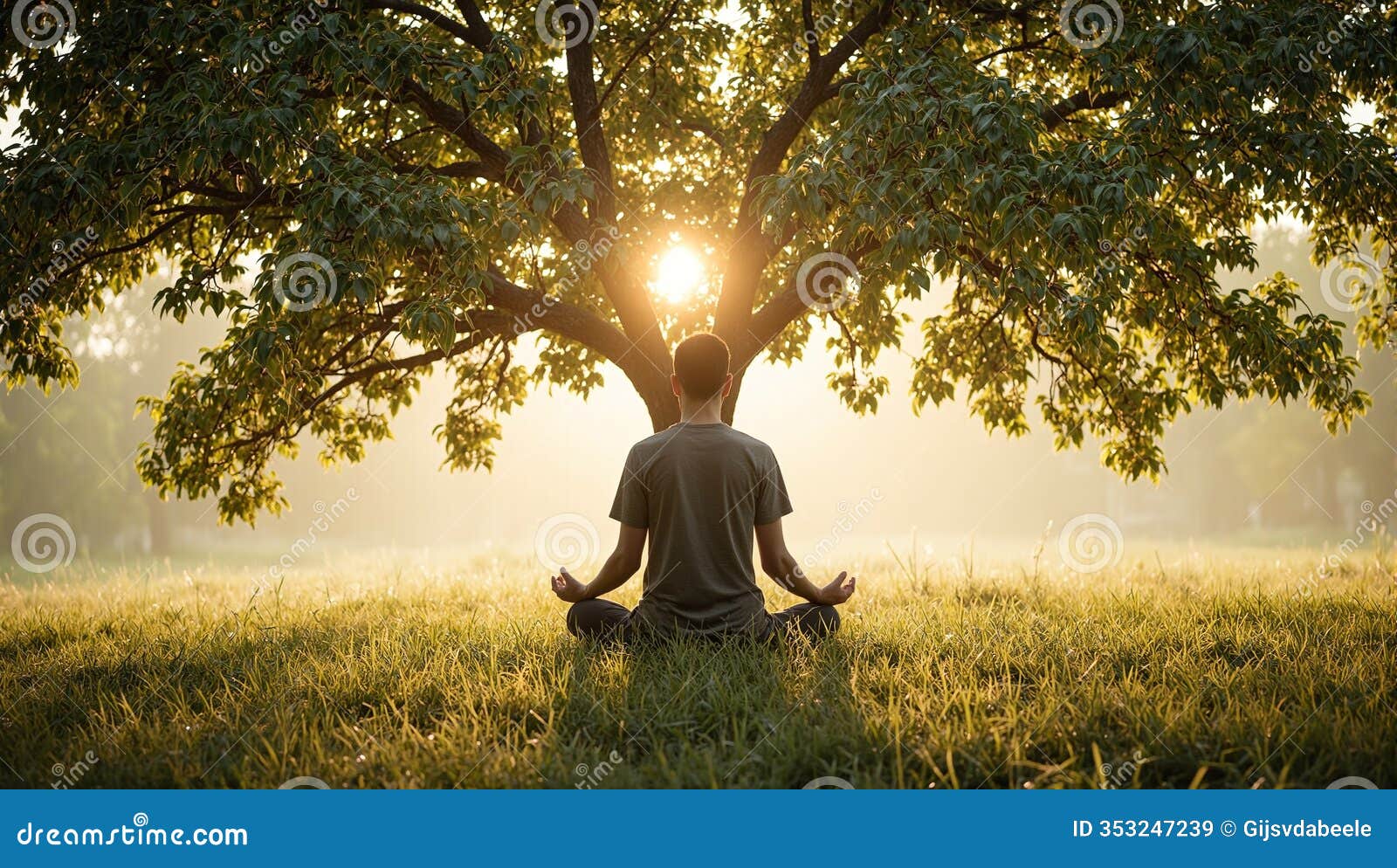 Meditating Person Under Bodhi Tree Sun Rays Enlightenment Stock ...