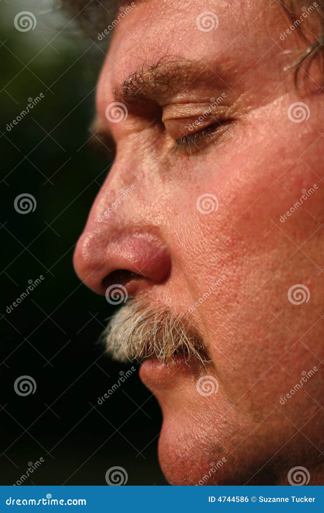 Inner Masculine Stock Photos - Free & Royalty-Free Stock Photos from ...