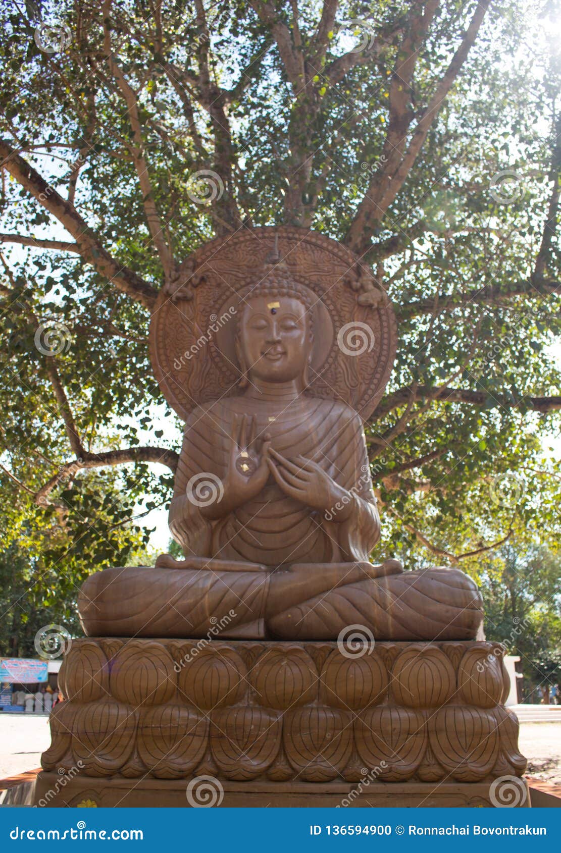 Meditation Buddha Statue. Under the Bodhi Tree Stock Photo - Image of ...