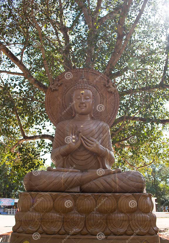 Meditation Buddha Statue. Under the Bodhi Tree Stock Photo - Image of ...