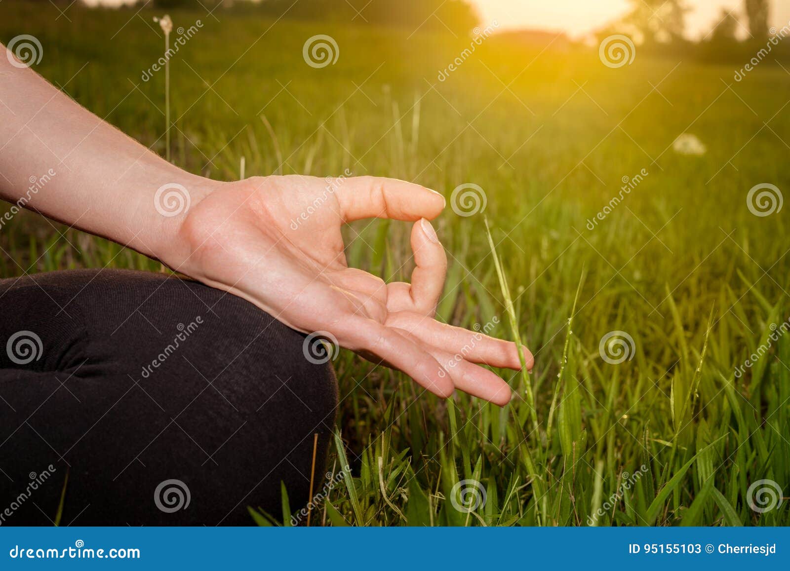 Meditation hand stock image. Image of peaceful, green - 95155103
