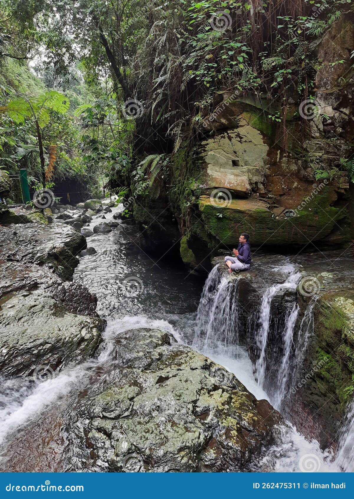 Meditation on Waterfall Stream Rock Stock Image - Image of tree ...