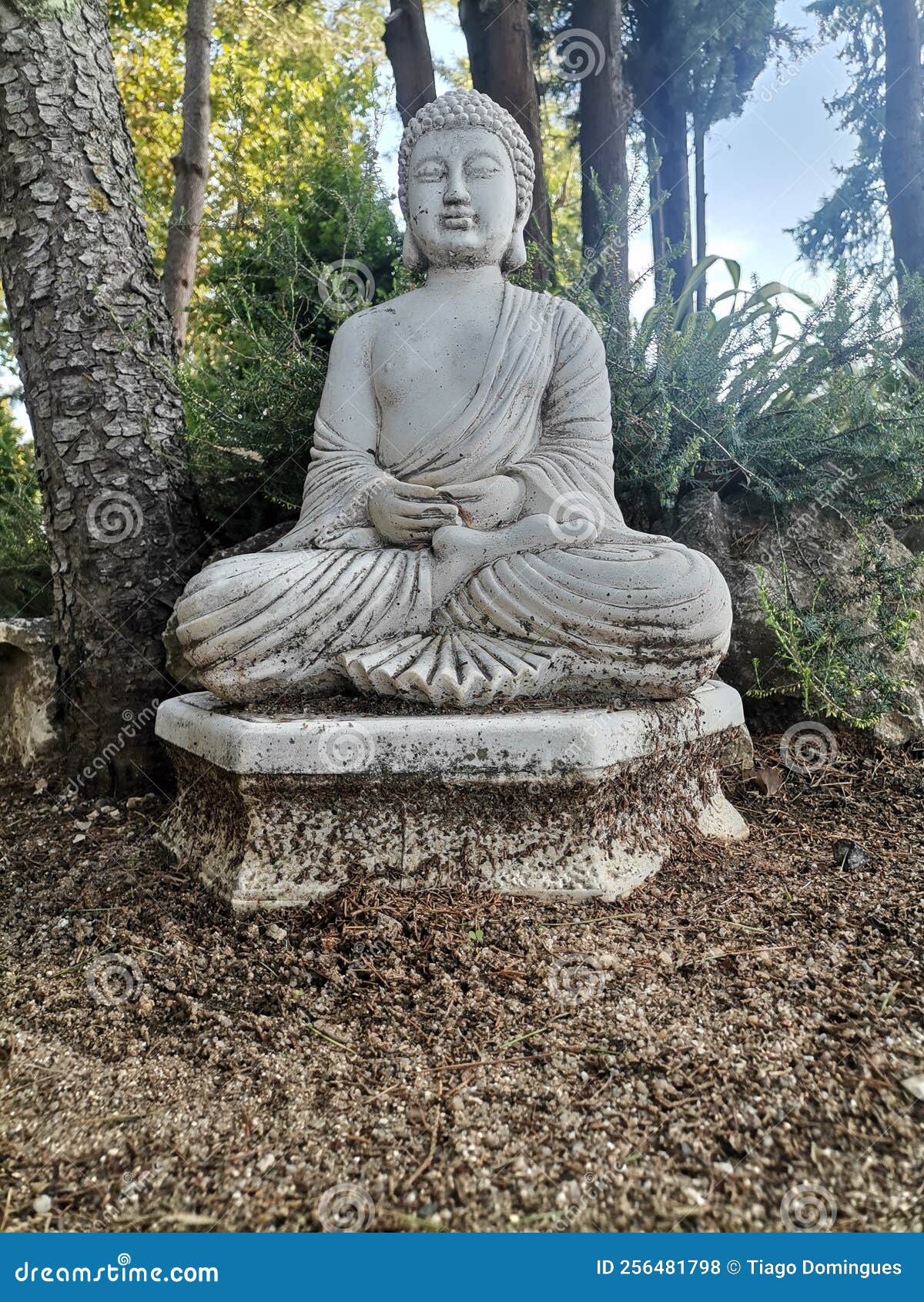 Meditation Zen Buda Lifestyle Stock Photo - Image of rock, monument ...