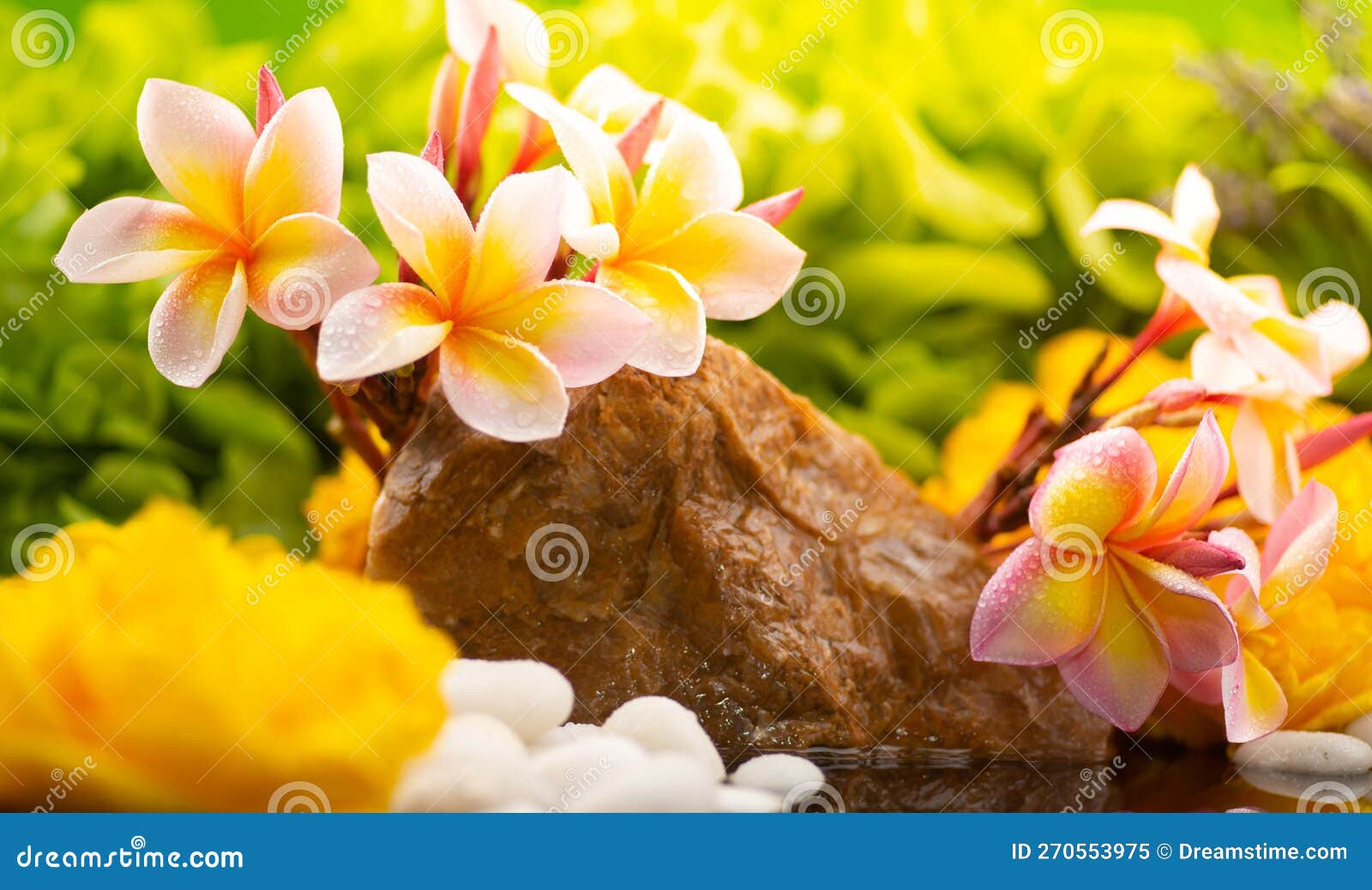 A Meditative and Relaxing Atmosphere with Flowers and Moisture Stock ...