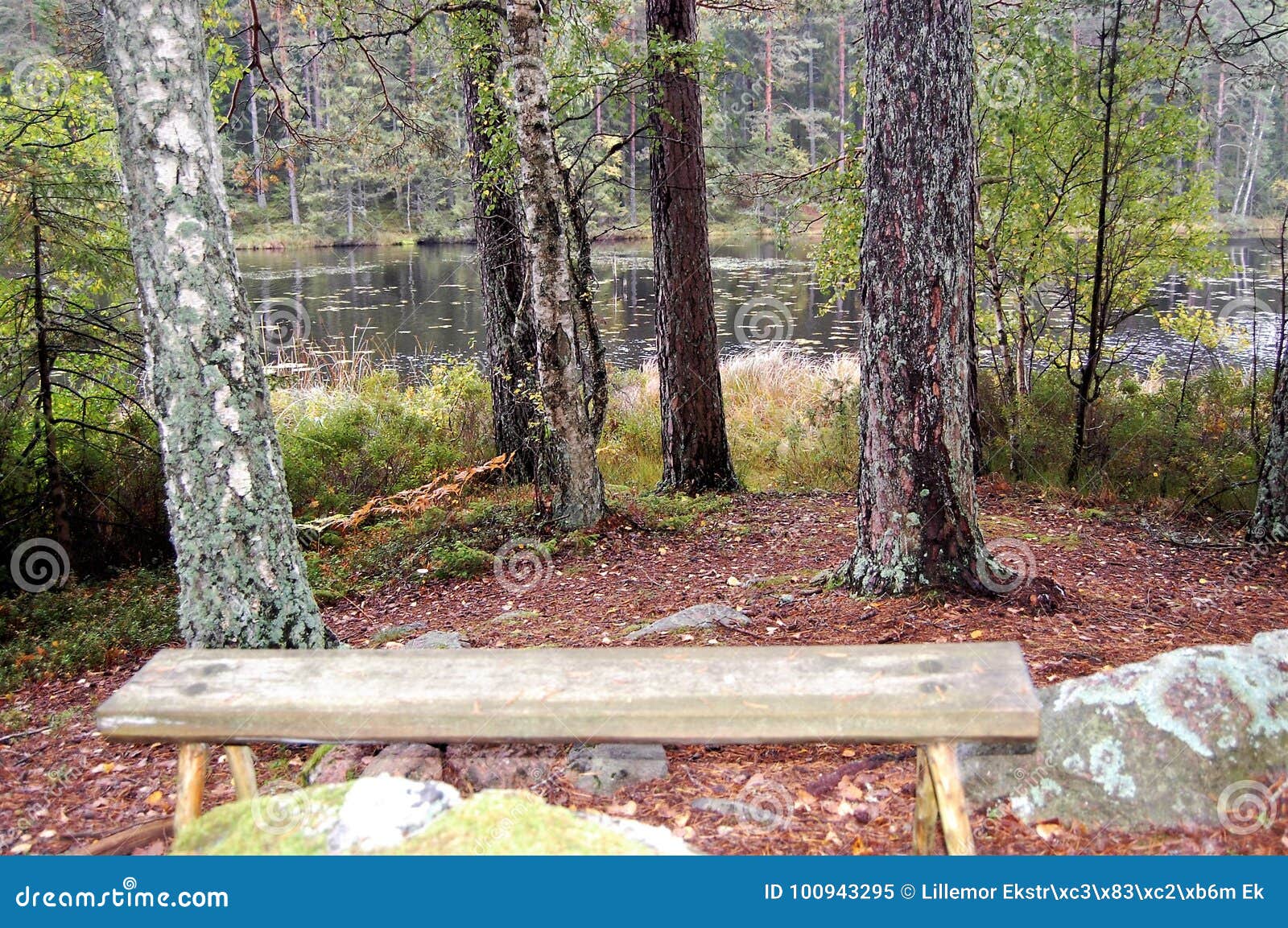 Meditative resting place stock image. Image of resting - 100943295