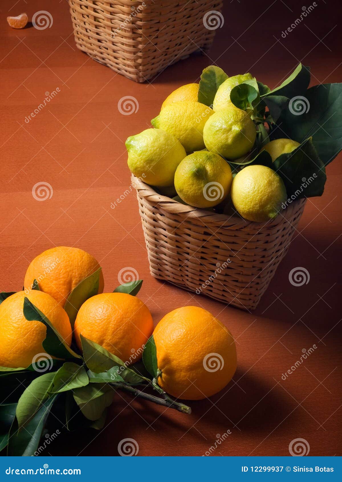 Mediterranean Citrus Harvest Stock Image - Image of adriatic, health ...