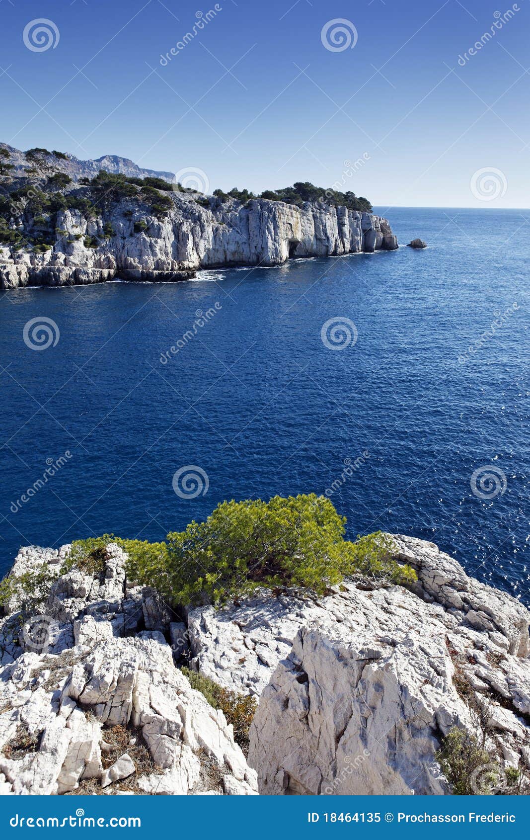 Mediterranean coast stock image. Image of shore, pine - 18464135