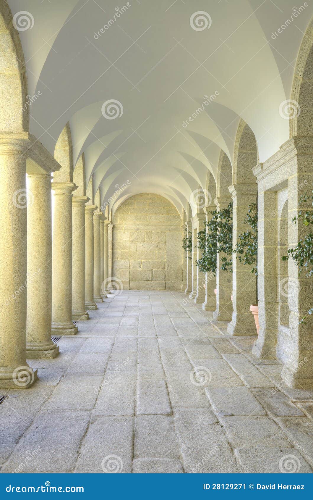 Mediterranean Court of Columns Stock Image - Image of mediterranean ...