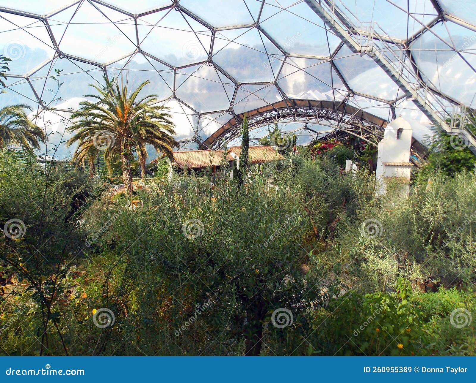 Mediterranean Dome of the Eden Project Cornwall Stock Image - Image of ...