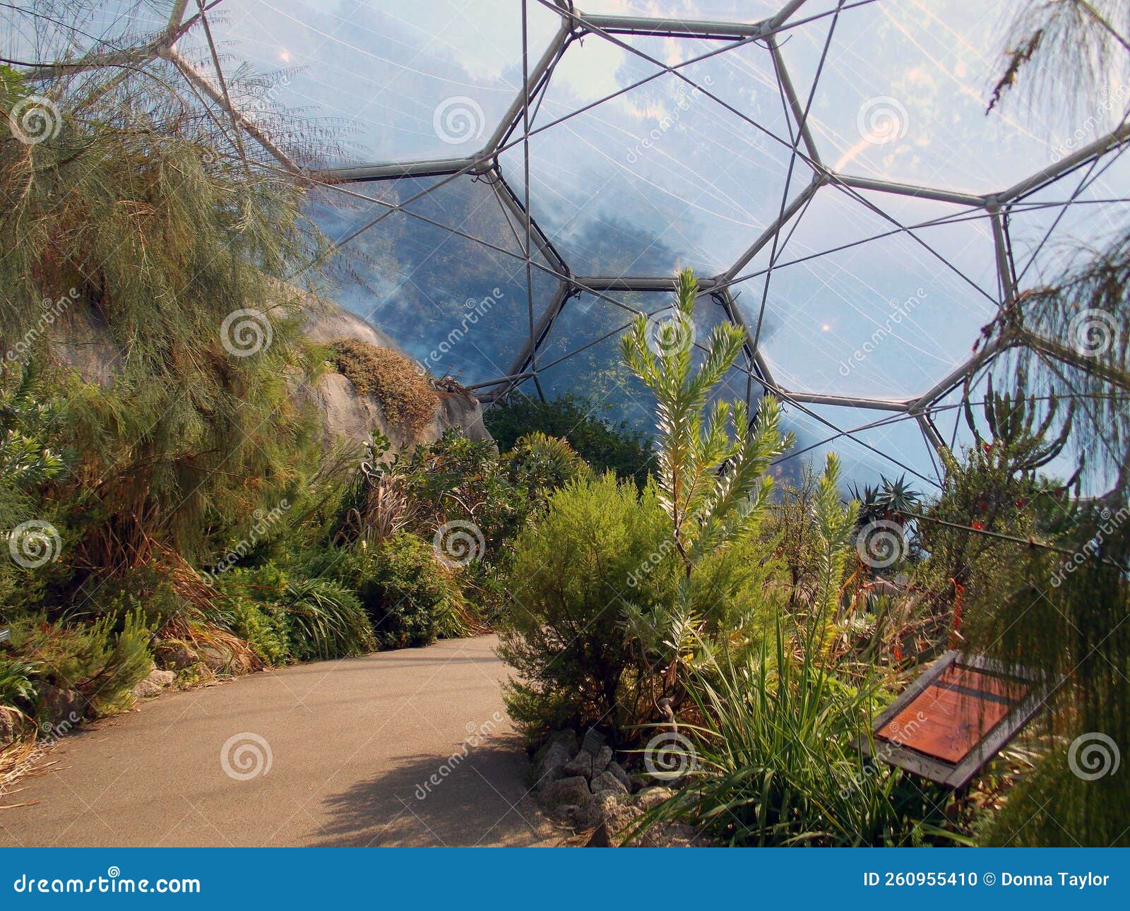 Mediterranean Dome, the Eden Project Cornwall Stock Photo - Image of ...