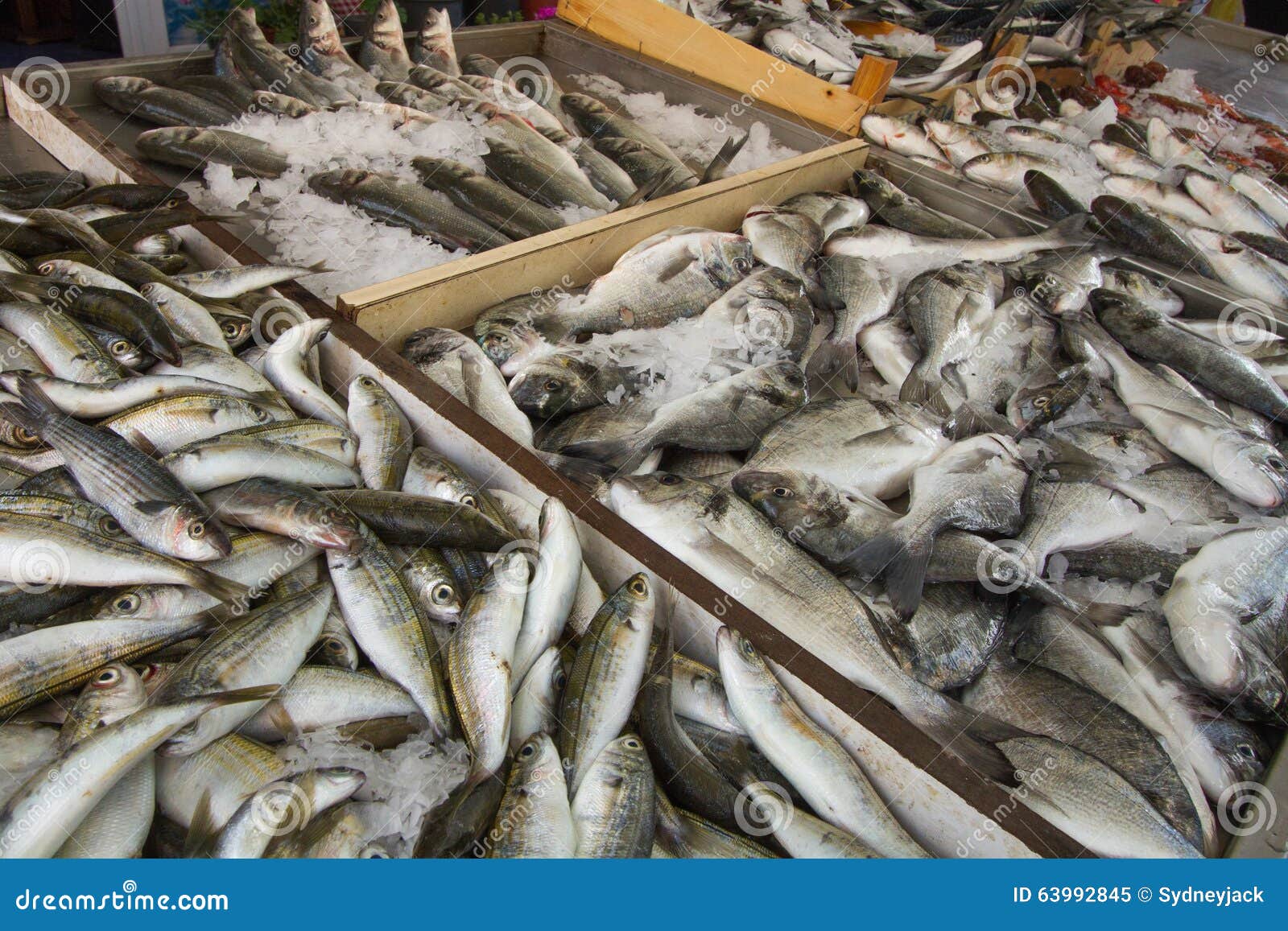 Mediterranean Fish at the Market Stock Image - Image of omega3, animal ...