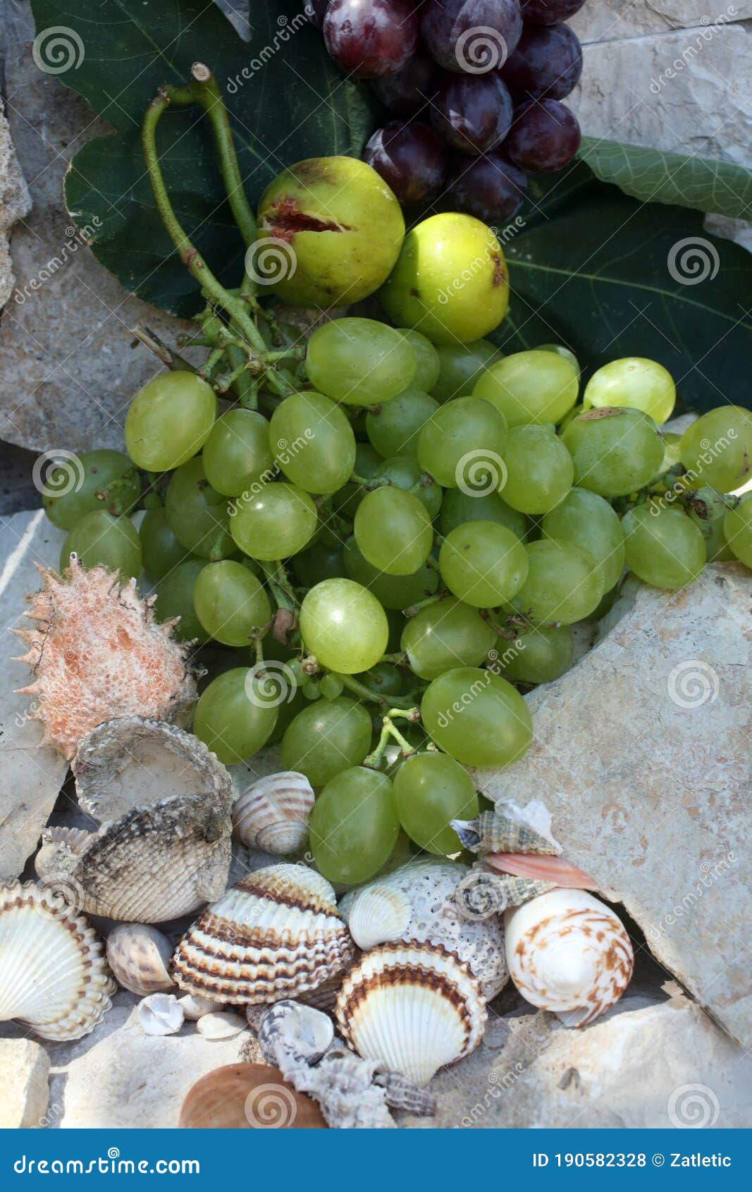 Mediterranean: Grapes, Figs and Shells Stock Photo - Image of making ...