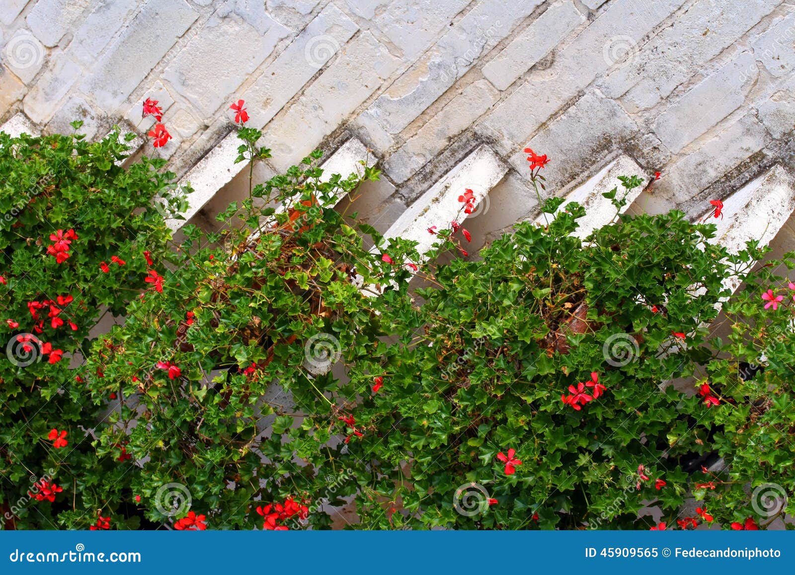 Mediterranean House with Red Flowering Geraniums Stock Image - Image of ...