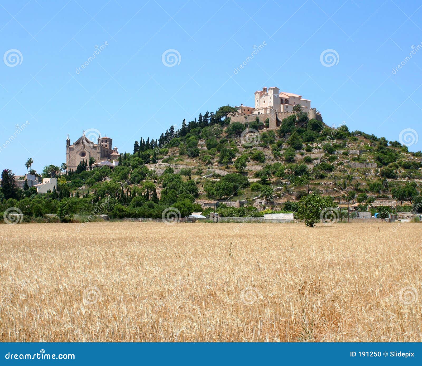 Mediterranean landscape stock photo. Image of farm, tree - 191250