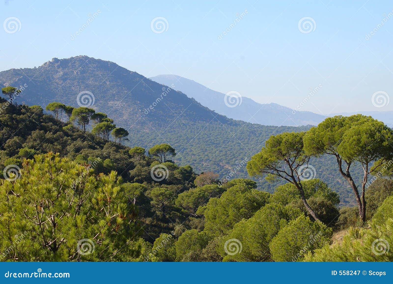Mediterranean landscape stock image. Image of conservation - 558247