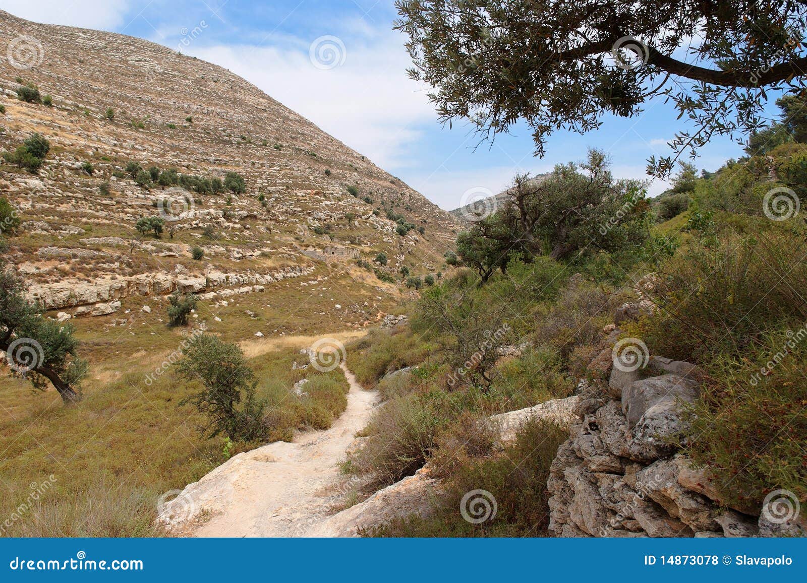 Mediterranean Mountain Landscape Stock Photo - Image of judea, summer ...
