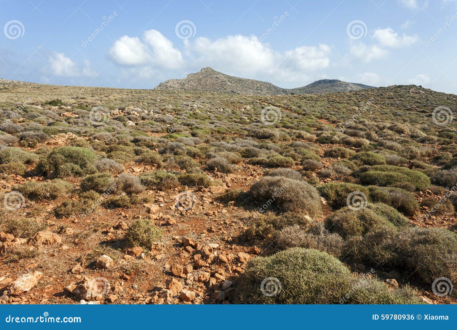 Mediterranean Scrub on a Mountain of Crete Stock Photo - Image of ...