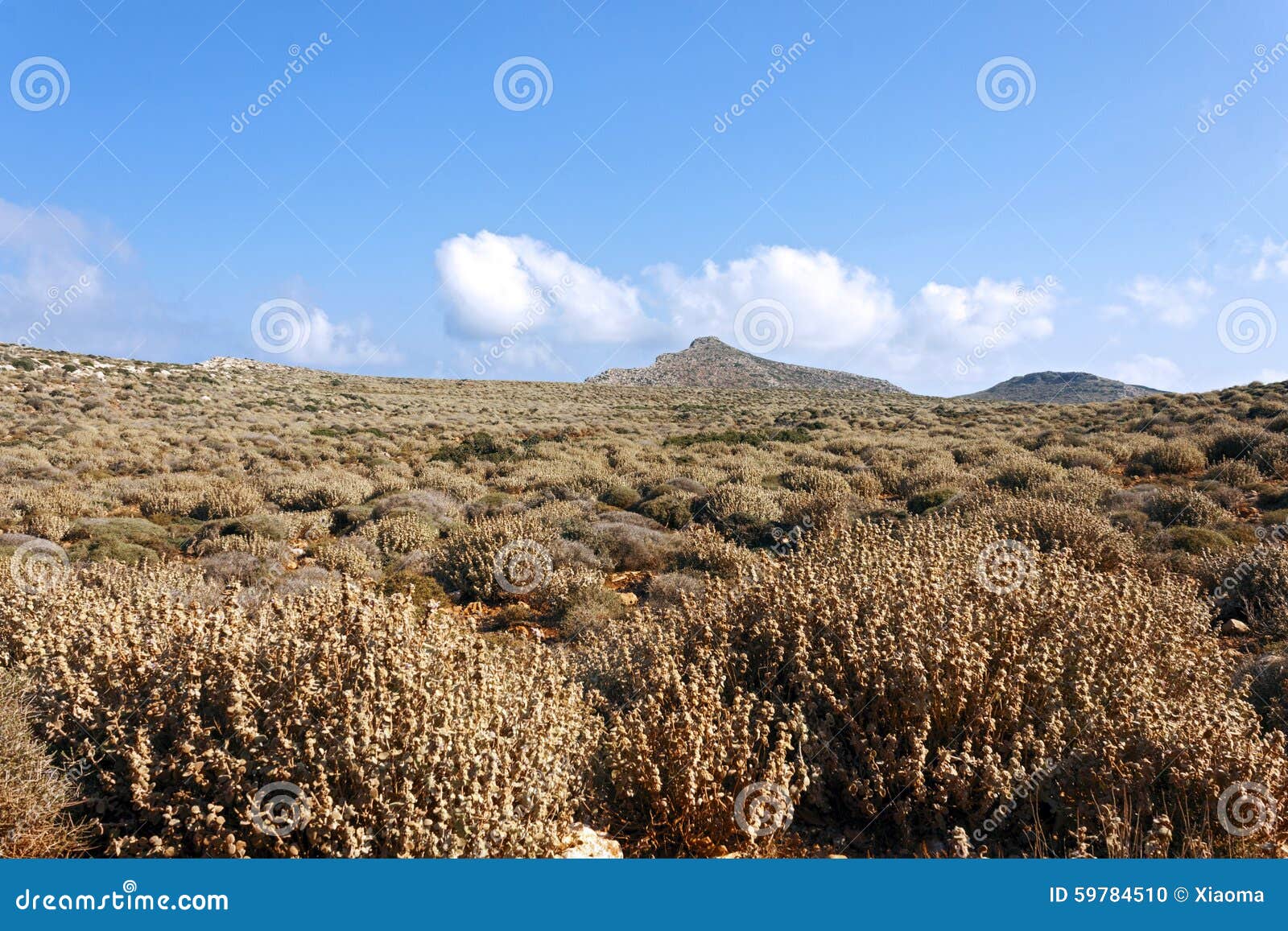 Mediterranean Scrub on a Mountain of Crete Stock Photo - Image of crete ...