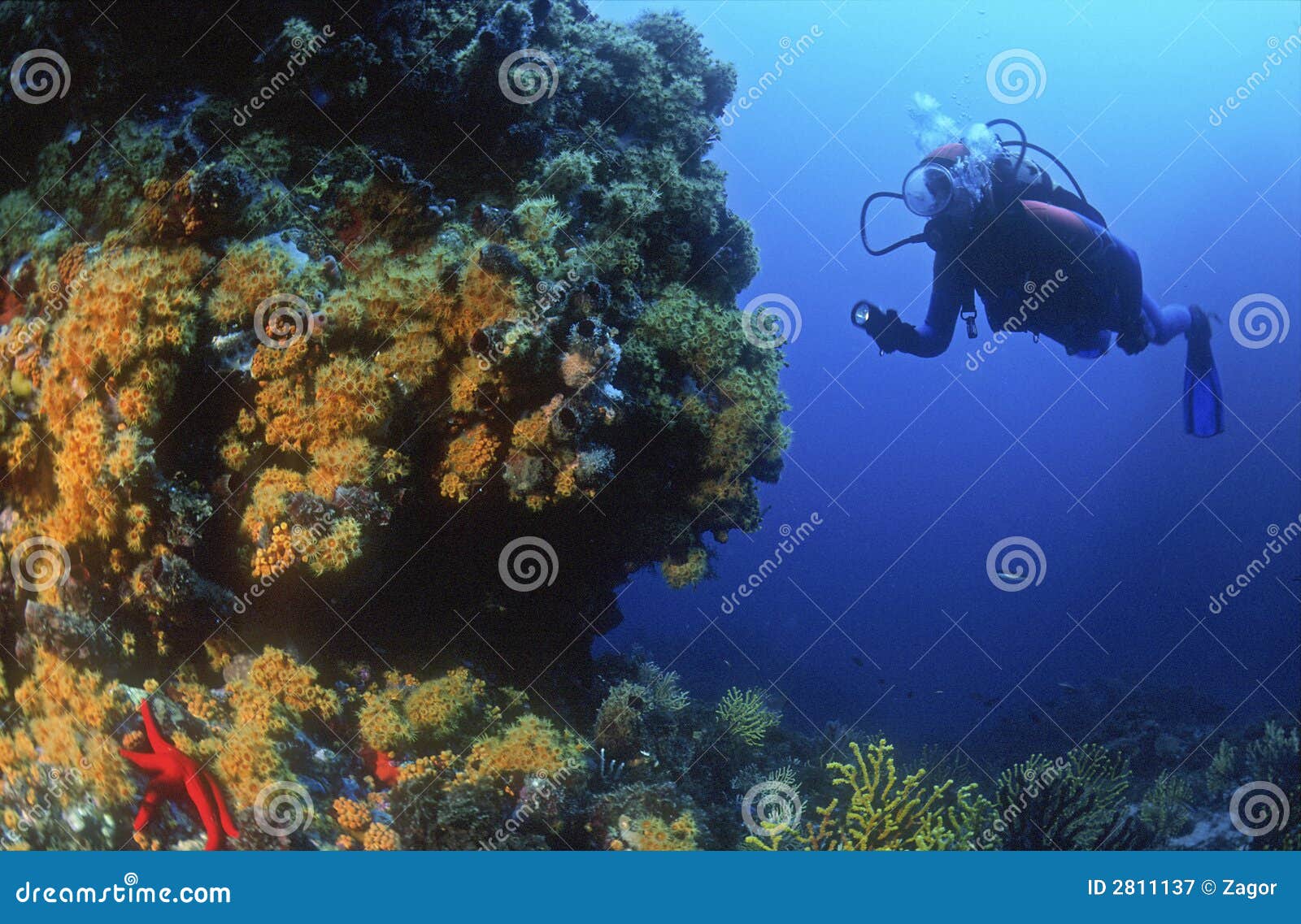 Mediterranean seabed stock image. Image of environment - 2811137