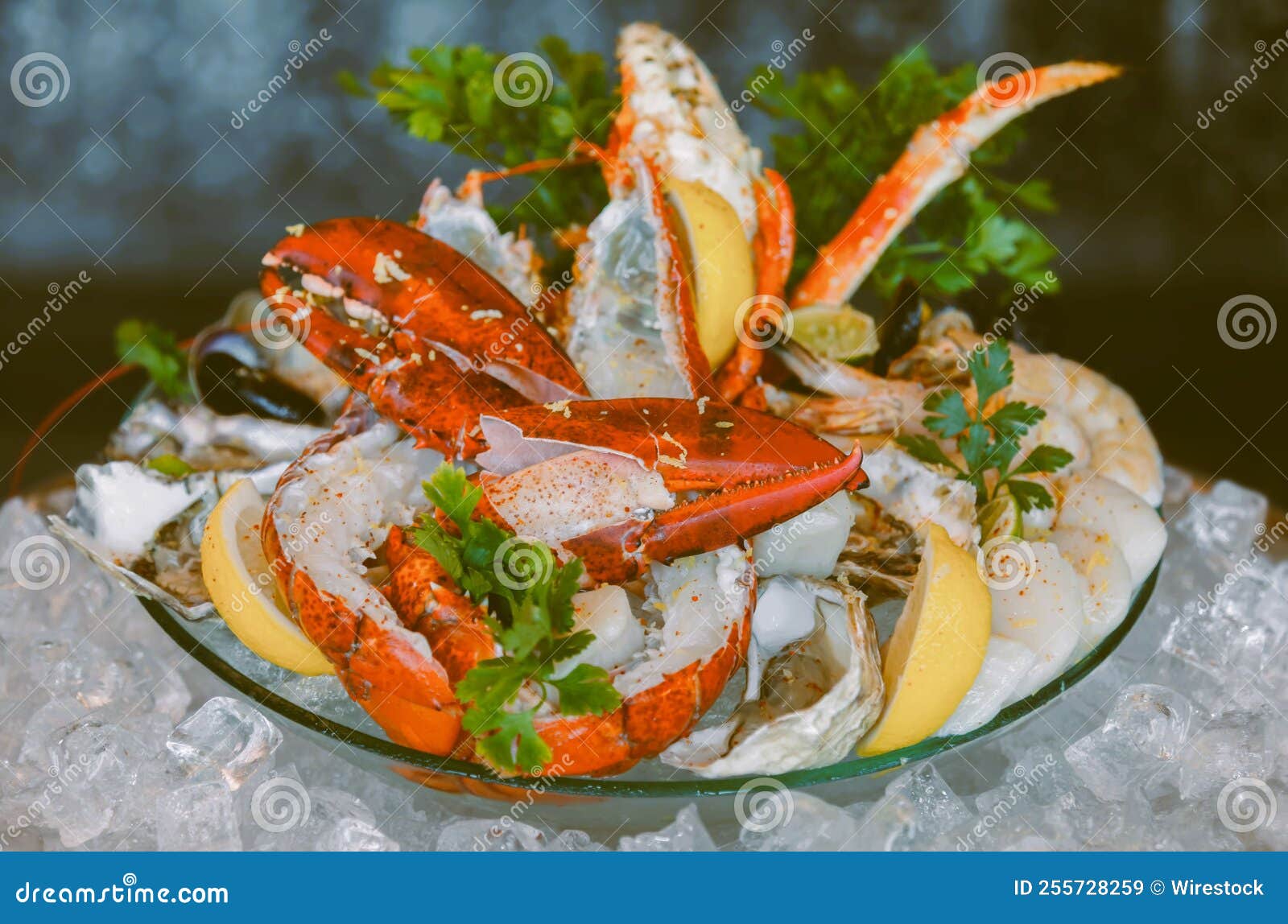 Mediterranean Seafood Set of Crabs. Stock Image - Image of restaurant ...