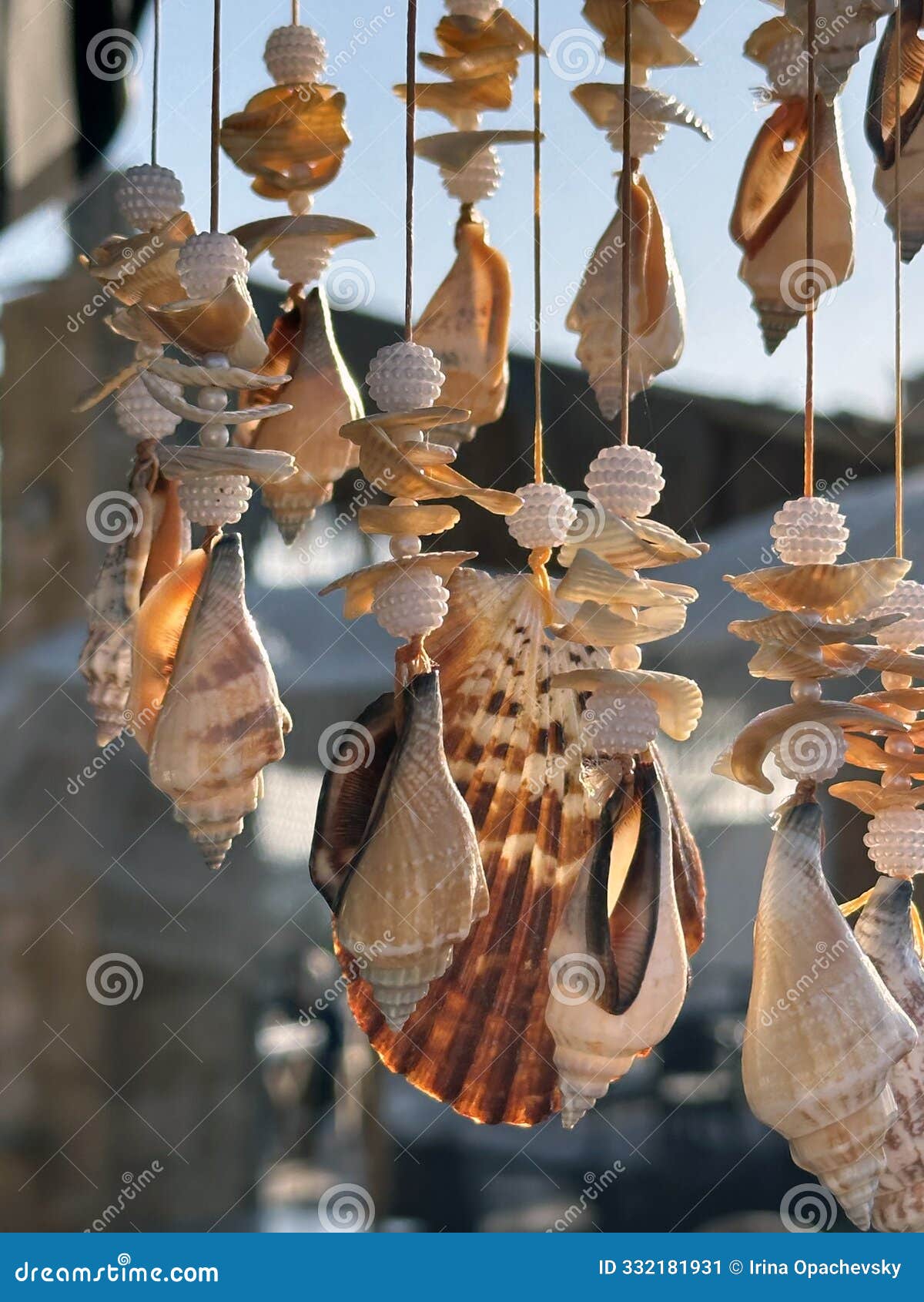 Mobile from Mediterranean Shells Stock Image - Image of beauty, design ...