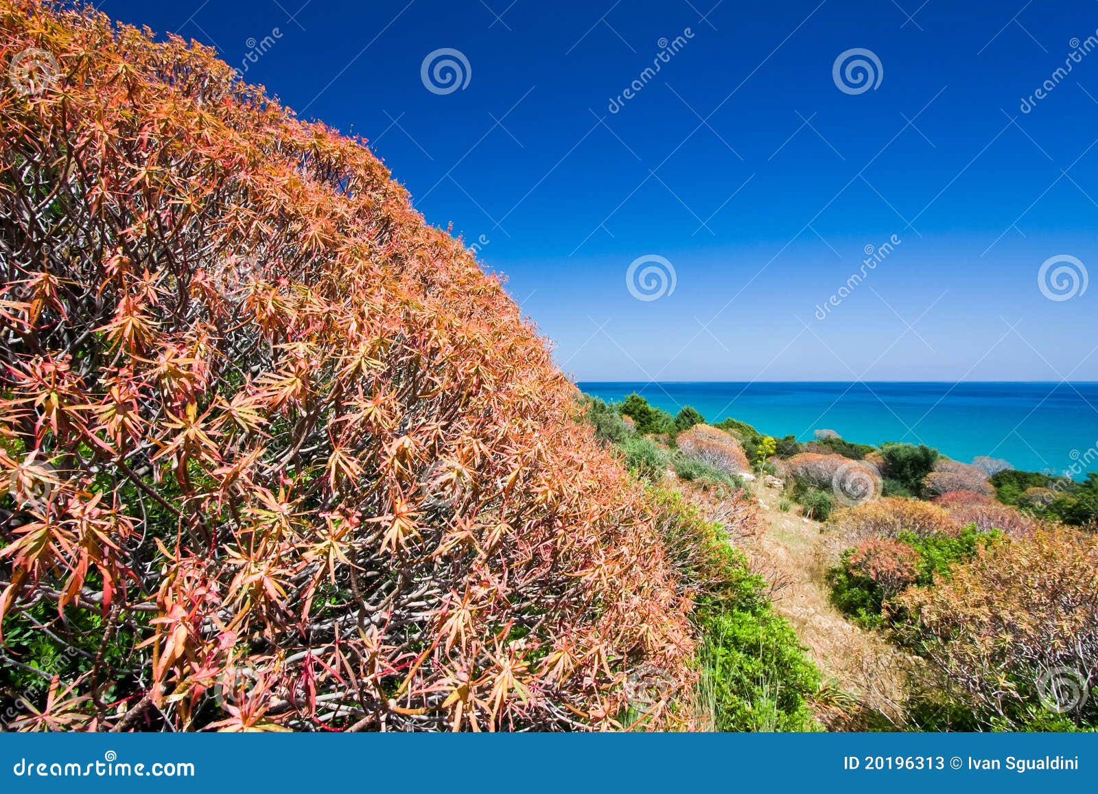 Mediterranean spring stock image. Image of outdoor, beauty - 20196313