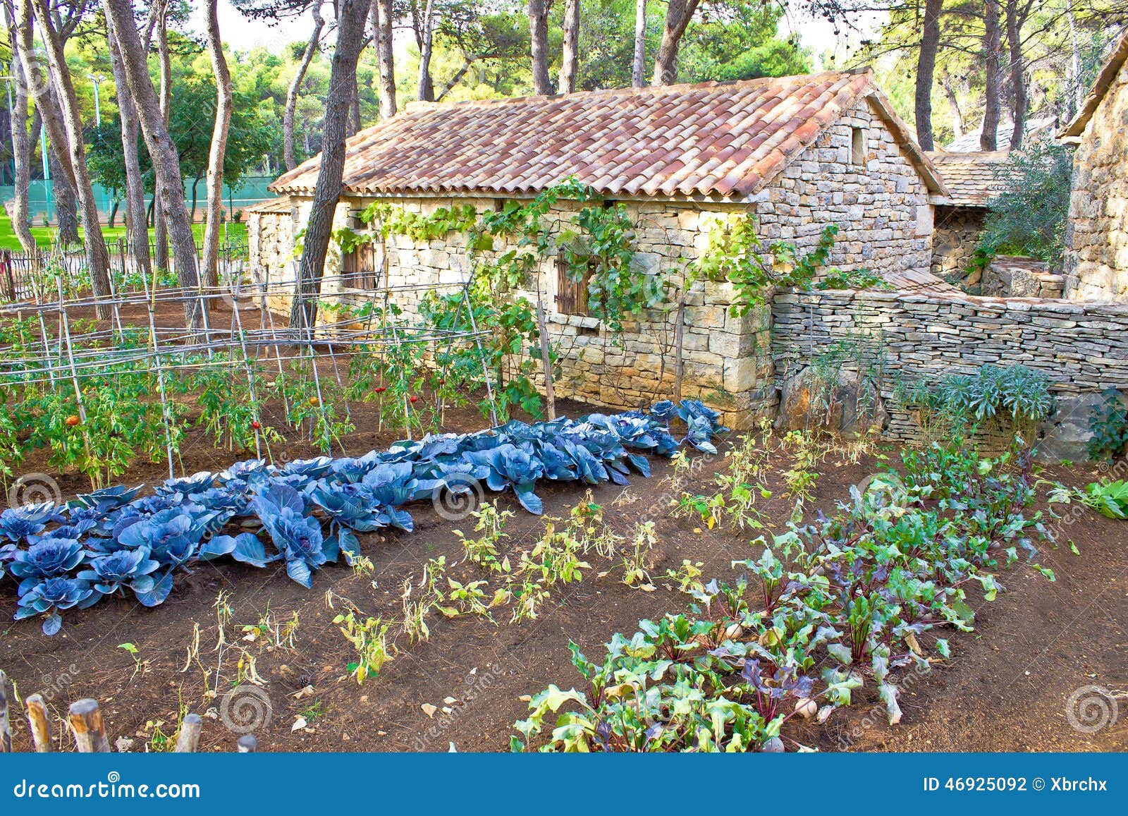 Mediterranean Stone Wall Facade Background Texture Royalty-Free Stock ...