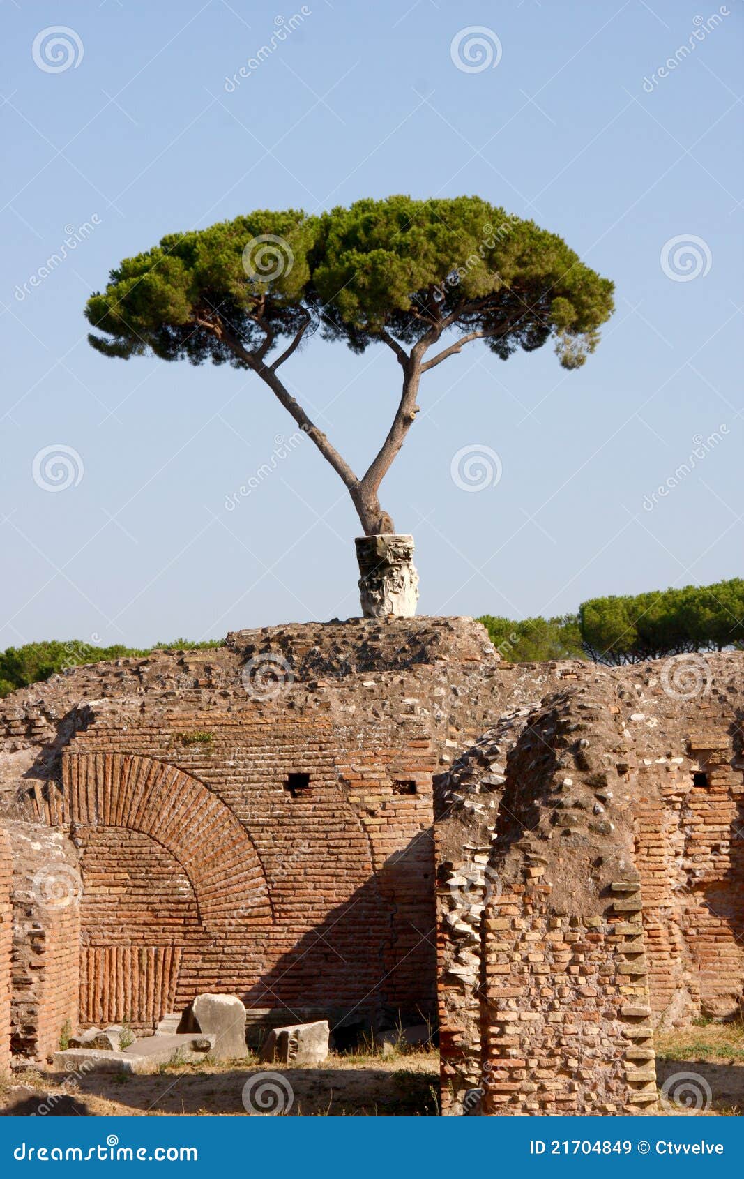 Mediterranean tree stock image. Image of building, retro - 21704849