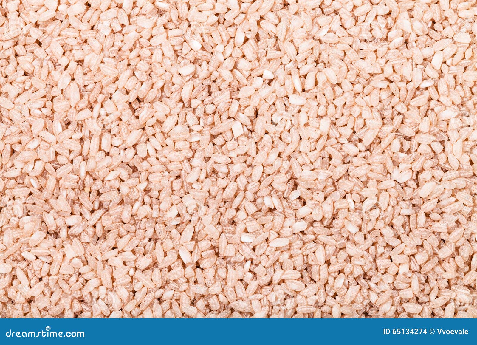 Medium Grains of Uncooked Red Matta (Devzira) Rice Stock Photo - Image ...