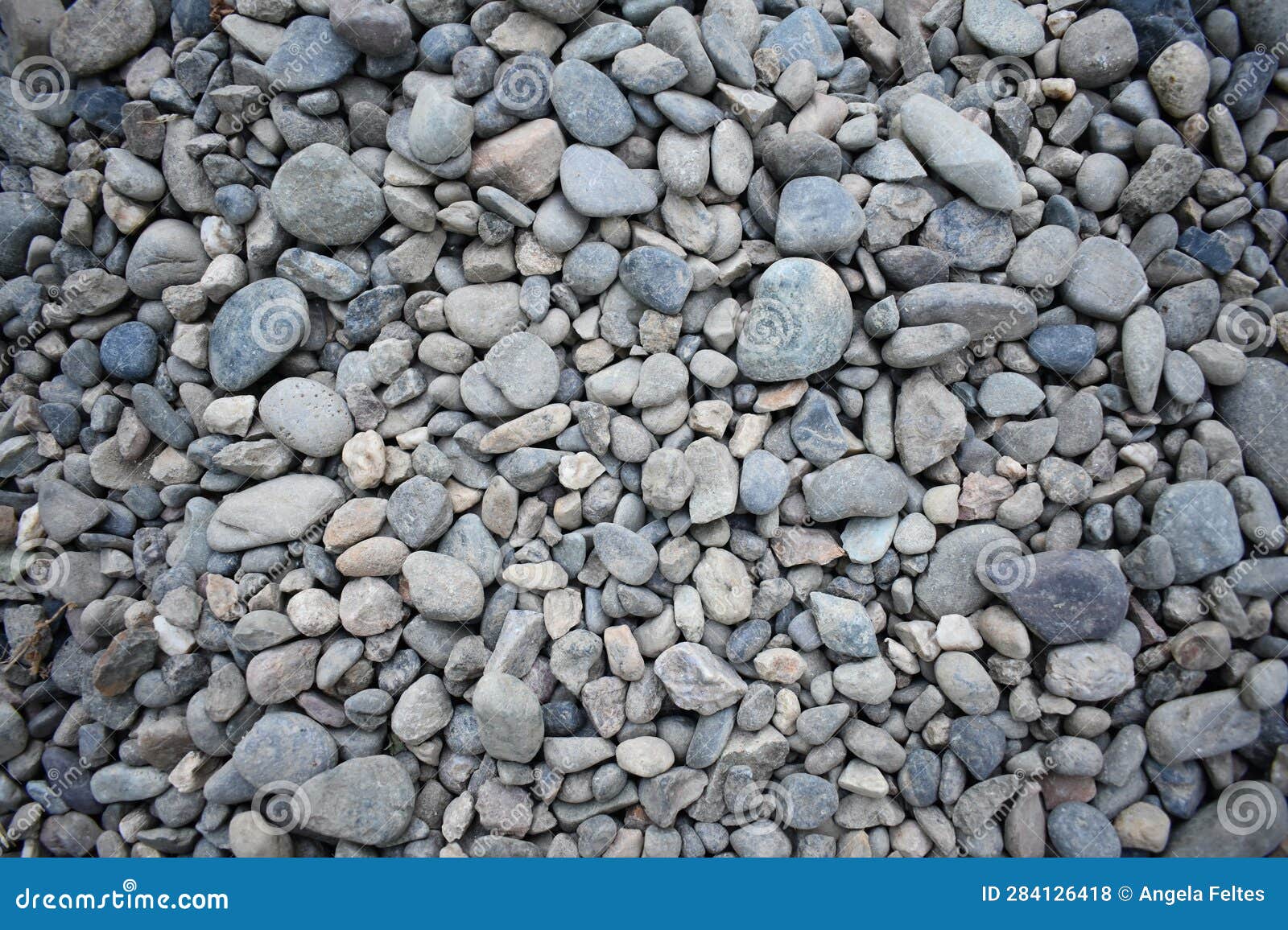 Medium Large Smooth Pebble Texture on Ground of Trail Stock Photo ...