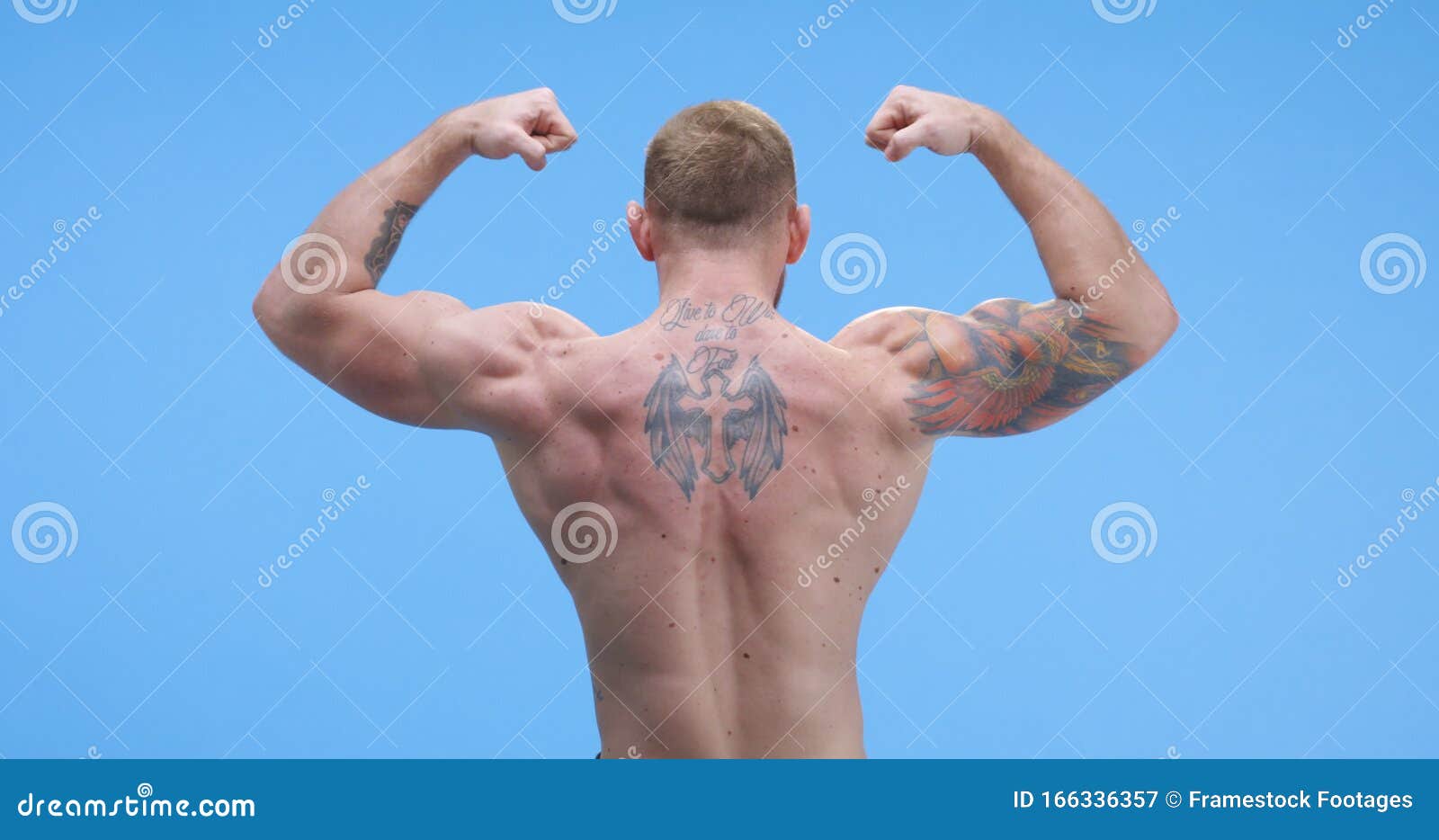 Buff man flexing his arms stock video. Video of cool - 166336357