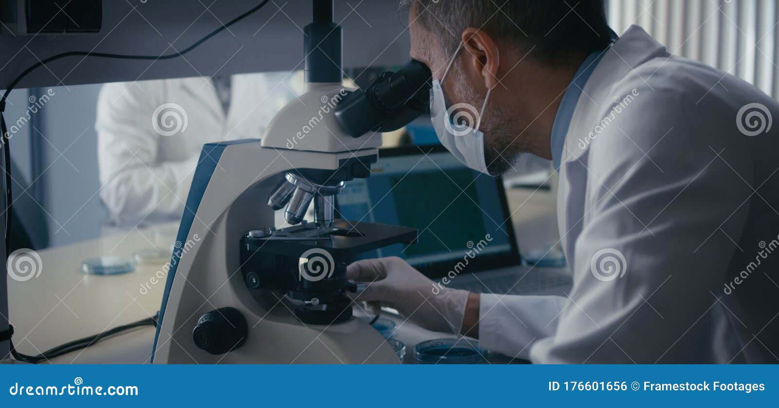 Scientist Studying Sample in Microscope Stock Photo - Image of sample ...