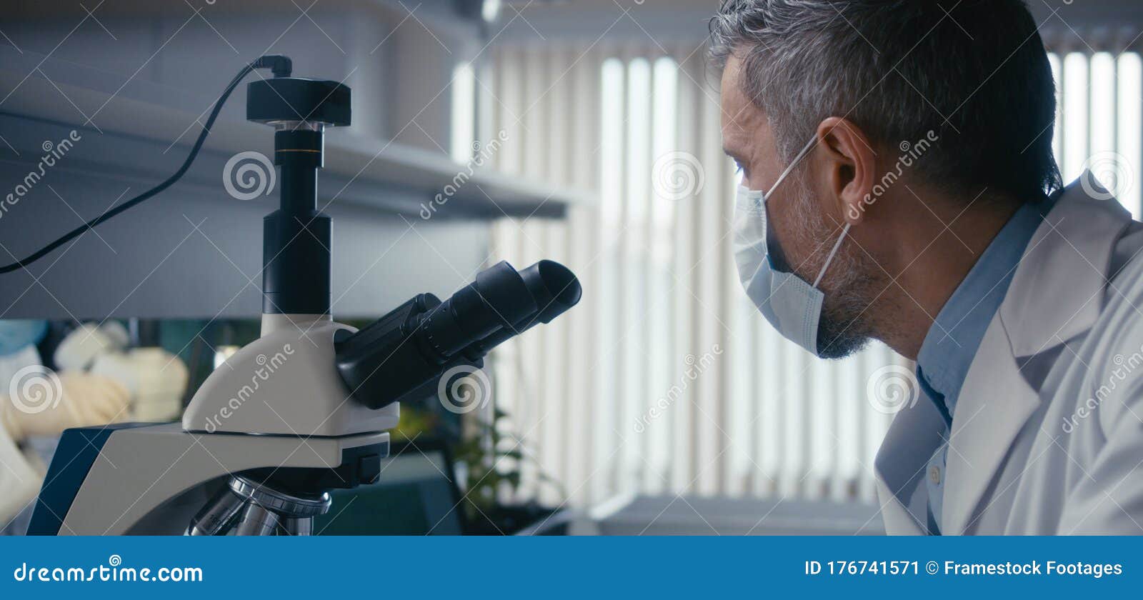 Scientist Studying Sample in Microscope Stock Image - Image of ...